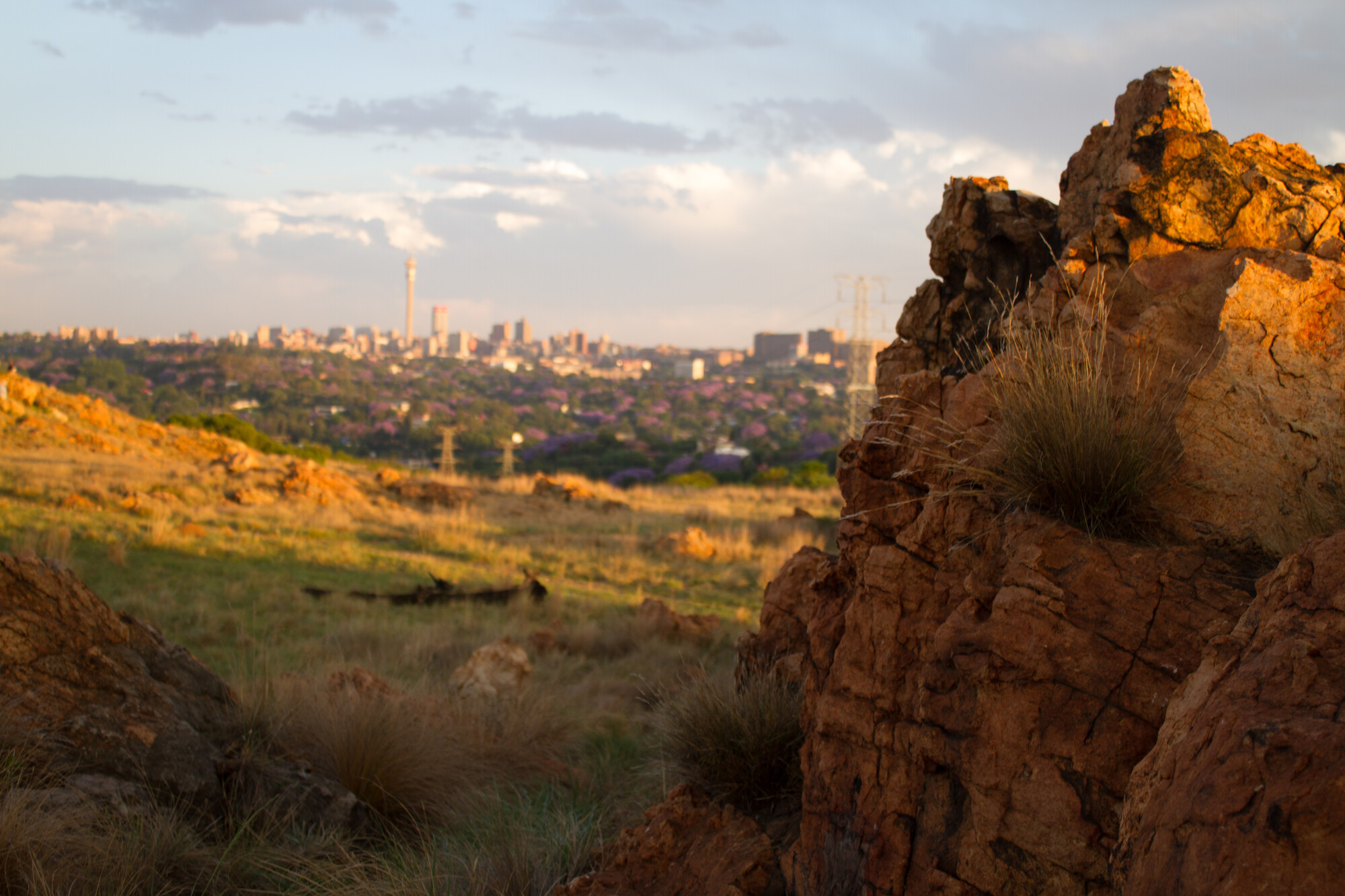 #MyJoburg with Alastair Findlay, painting the city