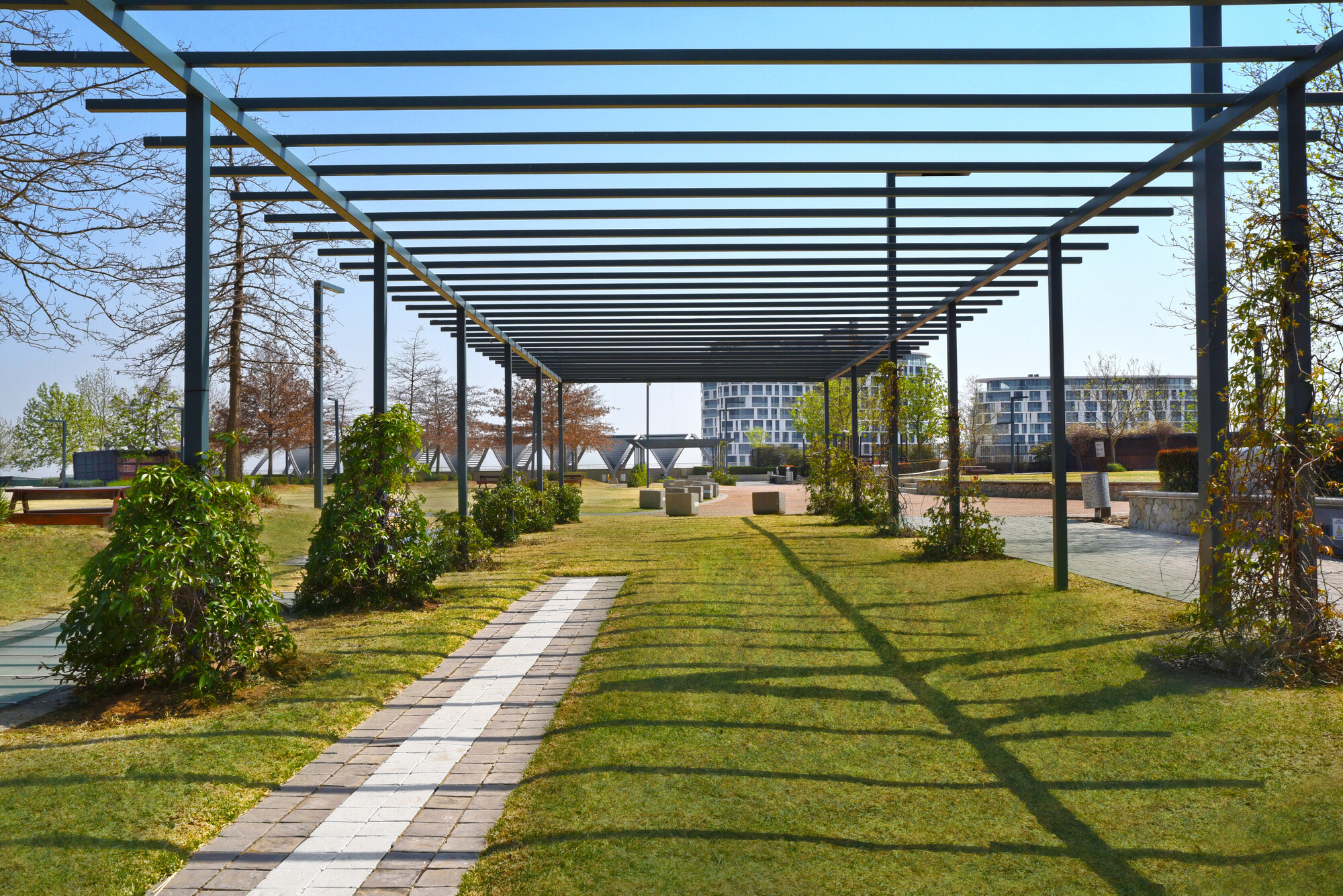 Waterfall City Park | Parks, Sports & Outdoors | Johannesburg