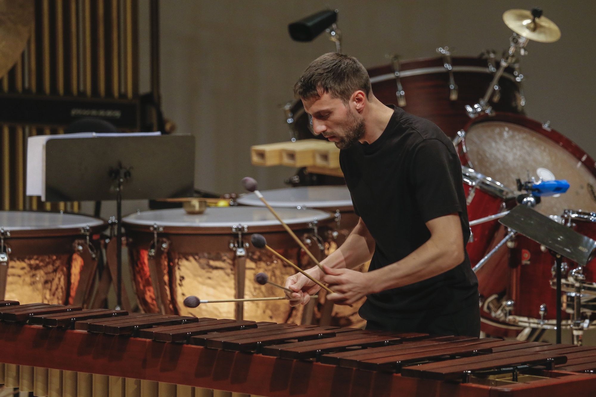 Dialogues Between Percussion and Brass | Klaipėda