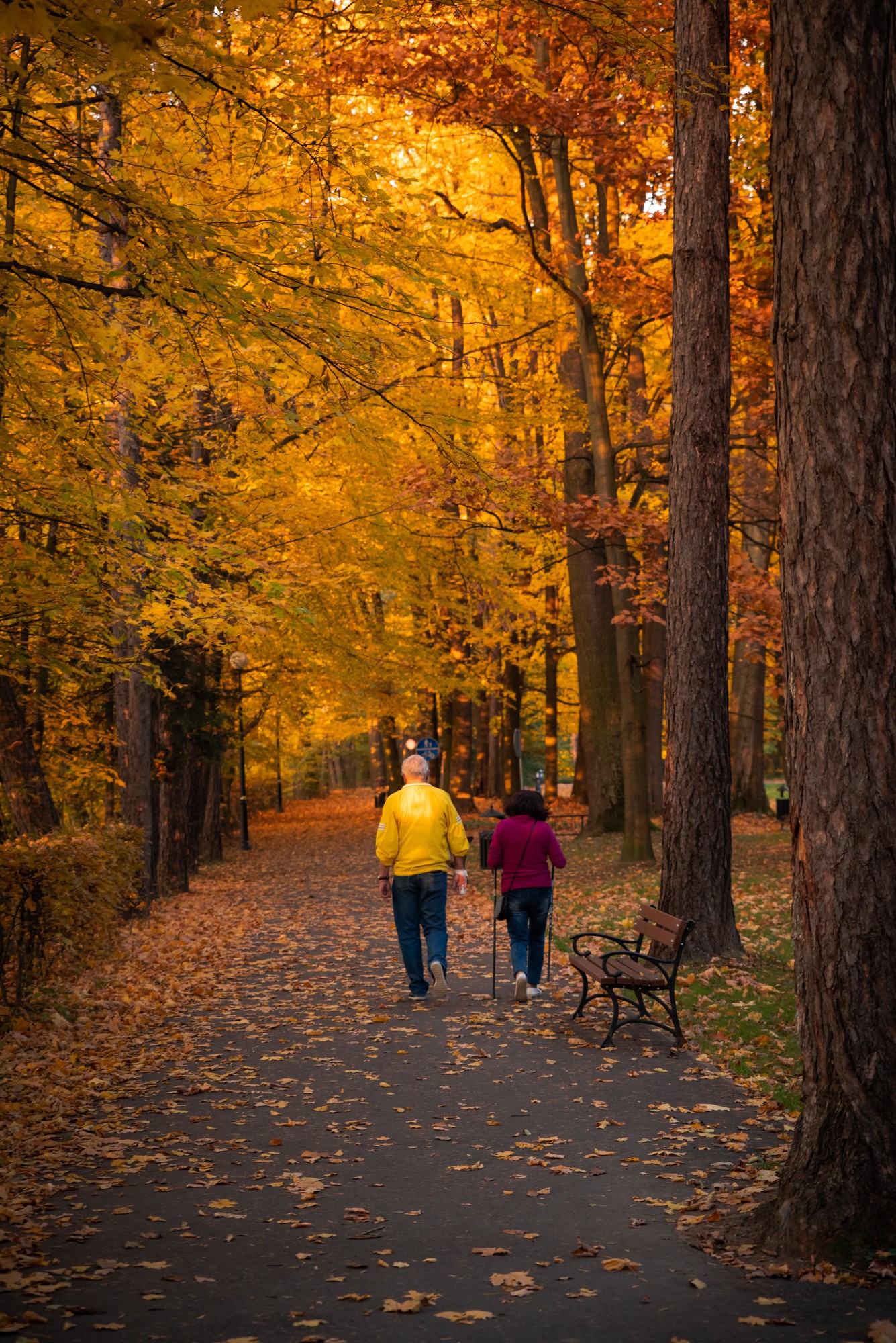 Visit Gorlice: Natural Beauty, Industrial Heritage & WWI History