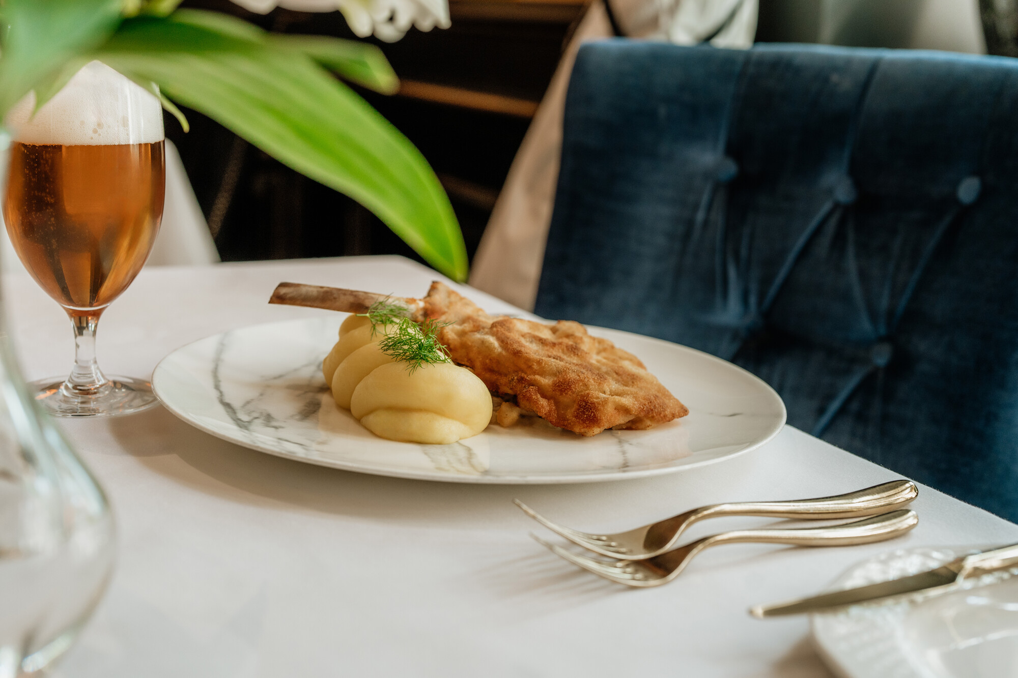 Gavi Restaurant | Kraków Restaurants | Krakow