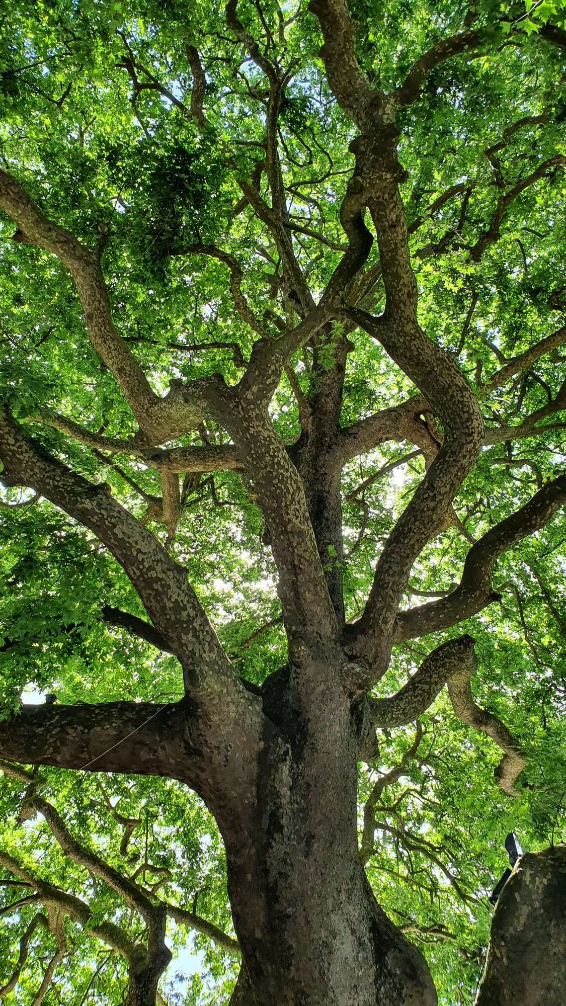 Libohova - Destination City Guides By In Your Pocket