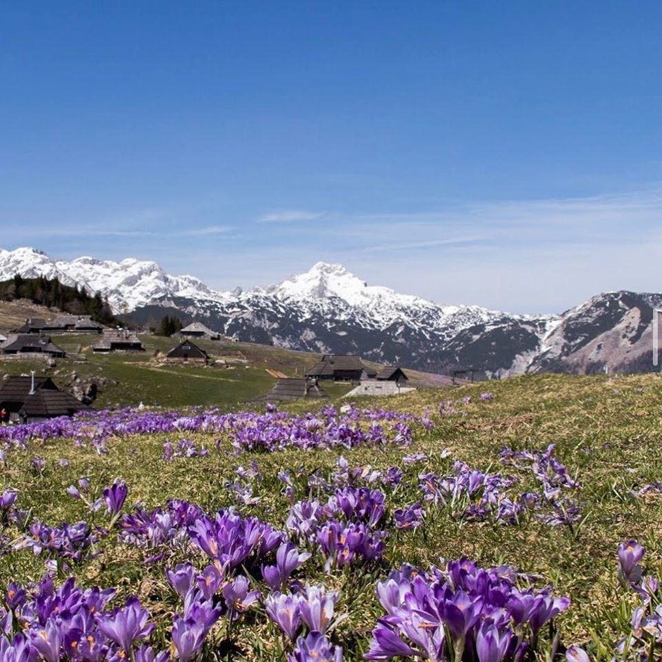 Velika Planina | Ski & Spa | Ljubljana