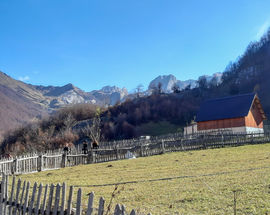 Lëpusha Malësia e Madhe