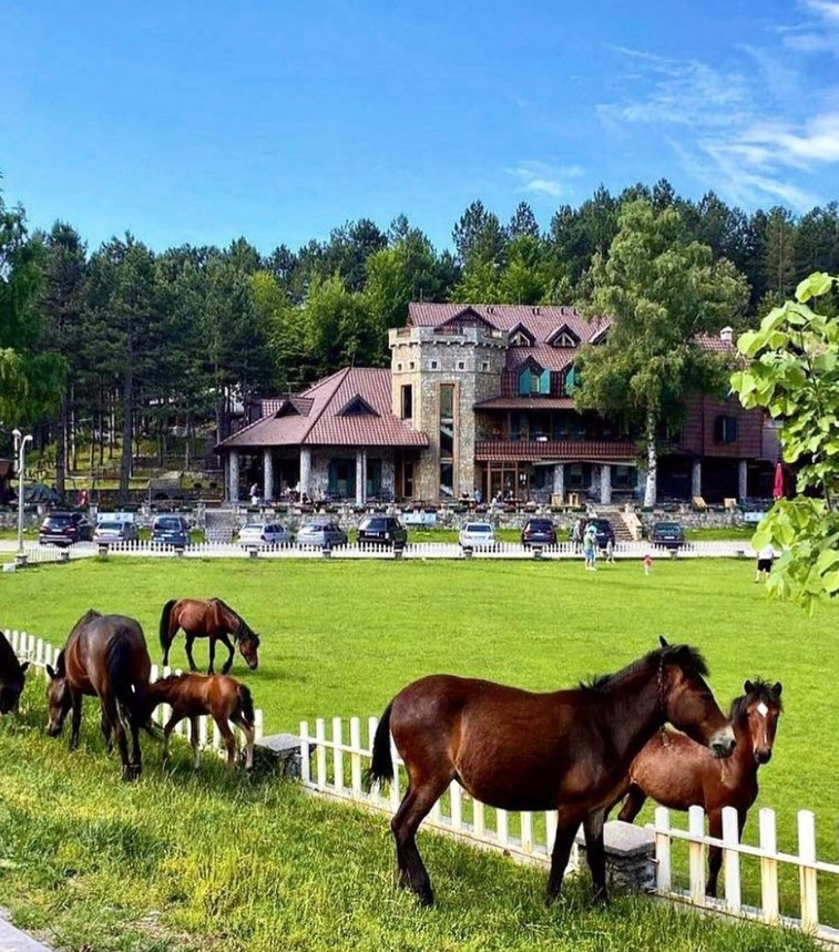 Natyral Razma Resort | Razëm | Malësia e Madhe