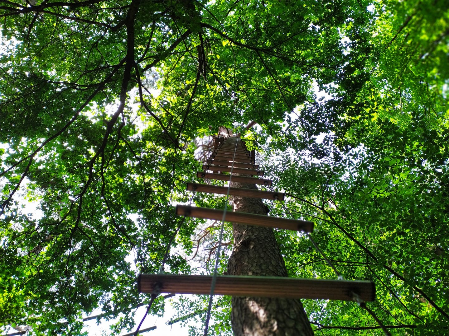 Explorer Park | Activities & Leisure | Poznan