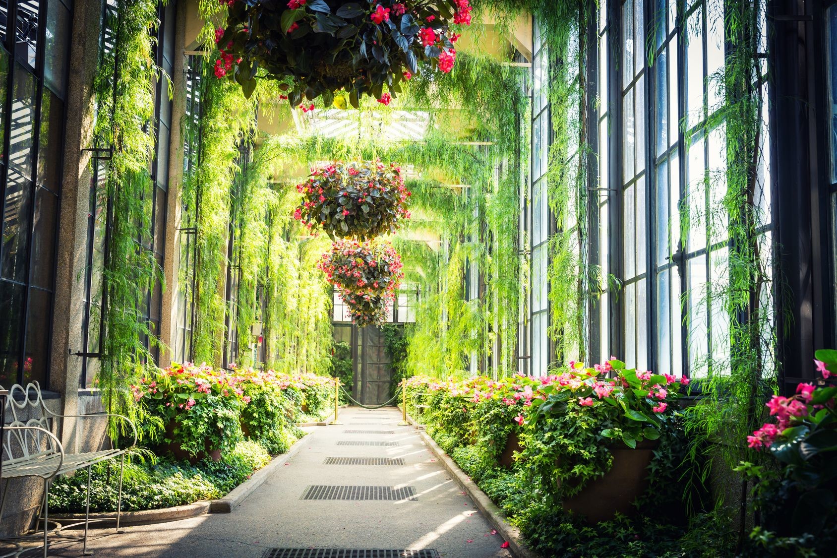 Palm House | Activities & Leisure | Poznan
