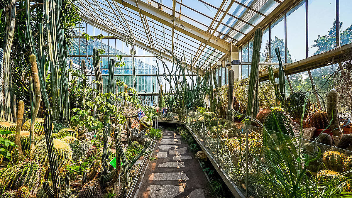 Palm House | Activities & Leisure | Poznan