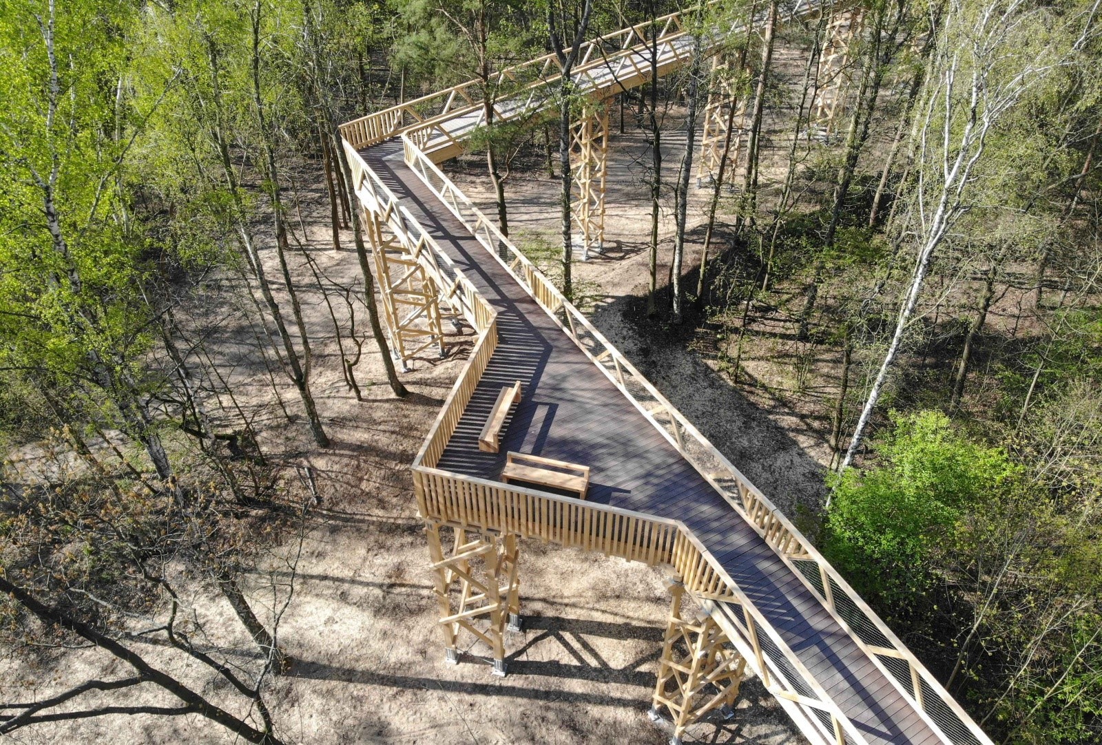 Treetop Walk | Activities & Leisure | Poznan