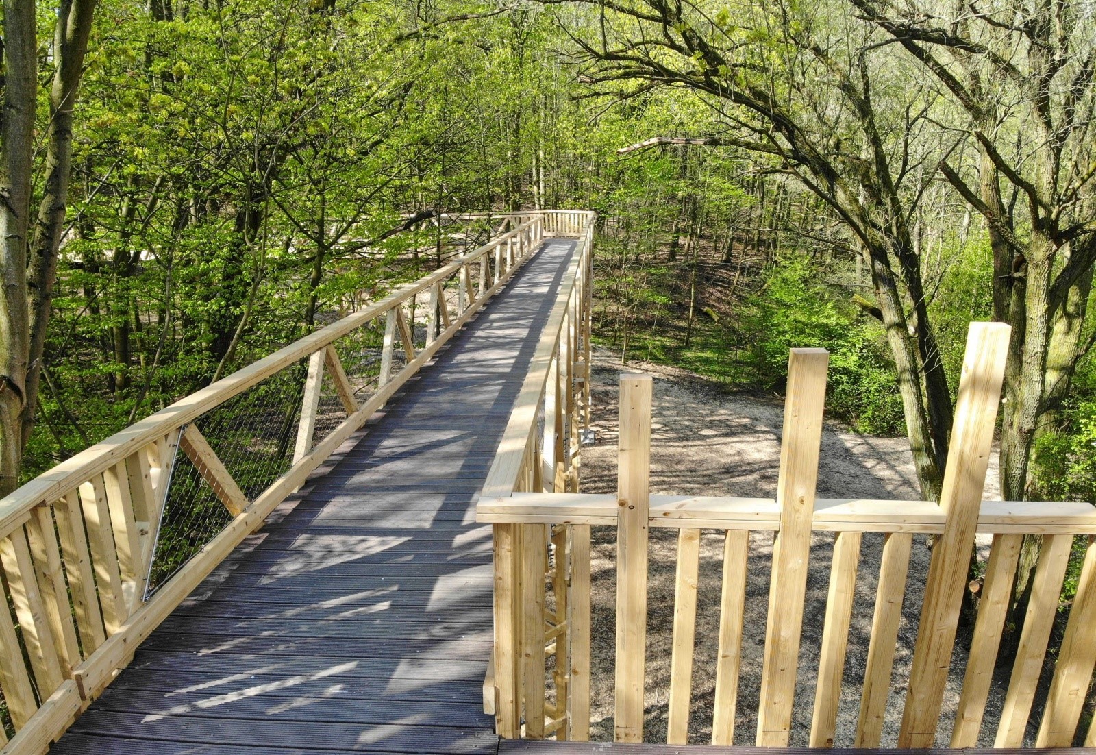 Treetop Walk | Activities & Leisure | Poznan