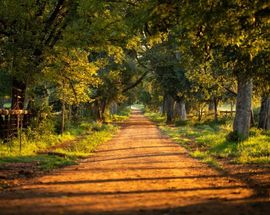 Irene Farm | Sightseeing | Pretoria