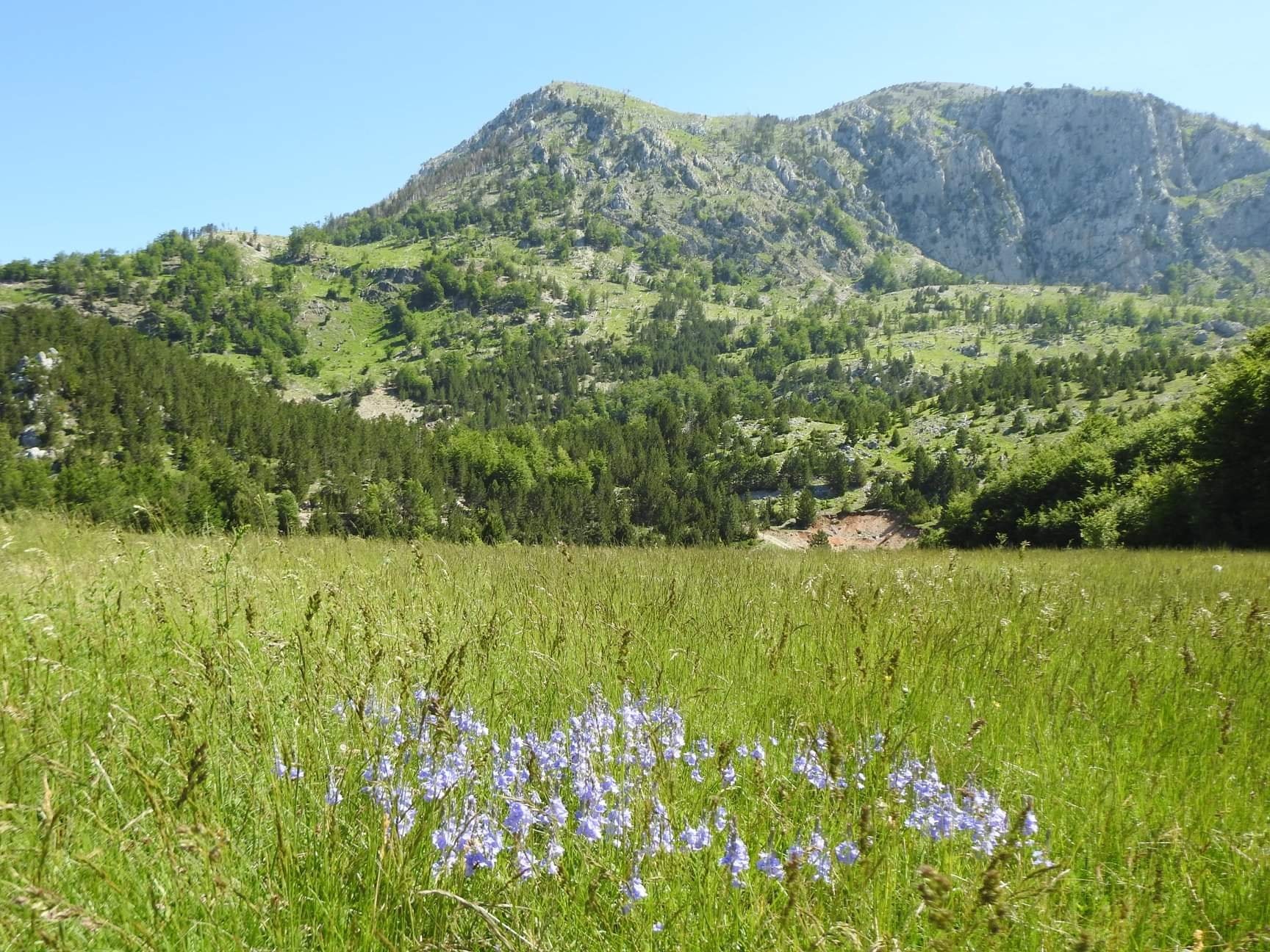 Mount Munella | What to See | Puka