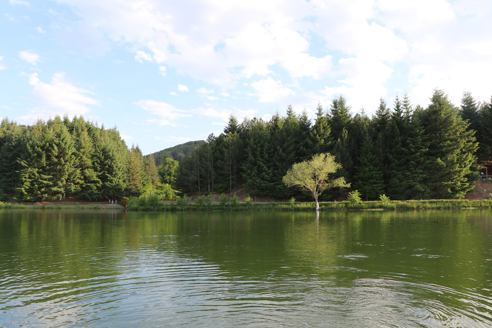 Puka - Destination City Guides By In Your Pocket