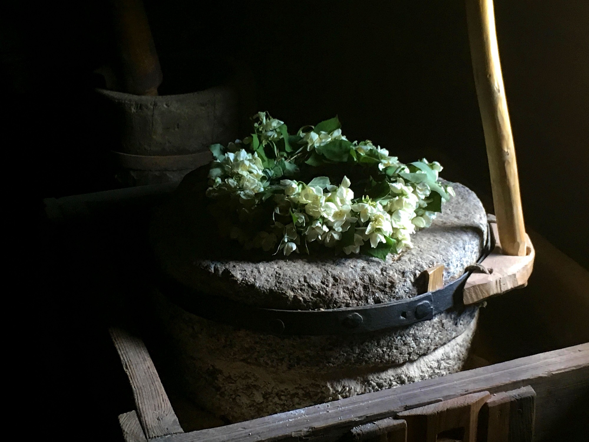 Midsummer's Eve Strolls at the Ethnographic Museum | Riga