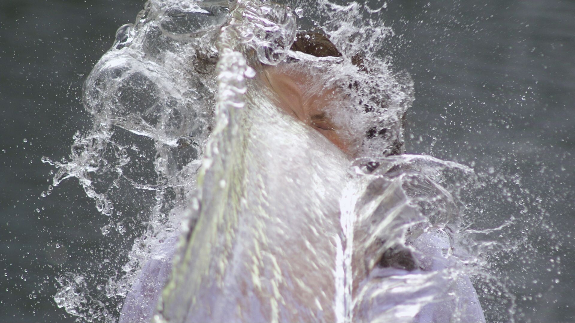 Dabo, Linardić, Rožman - From another angle