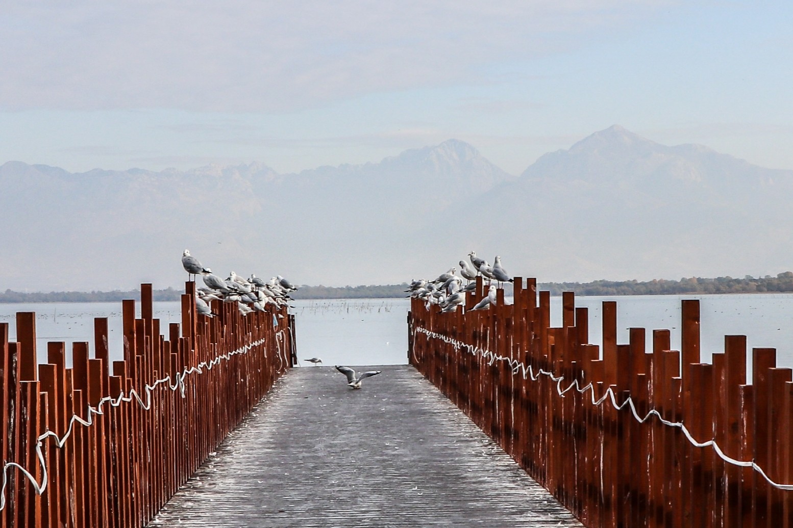 Shiroka village | Around Shkodra: Lake Shkodra | Shkodra
