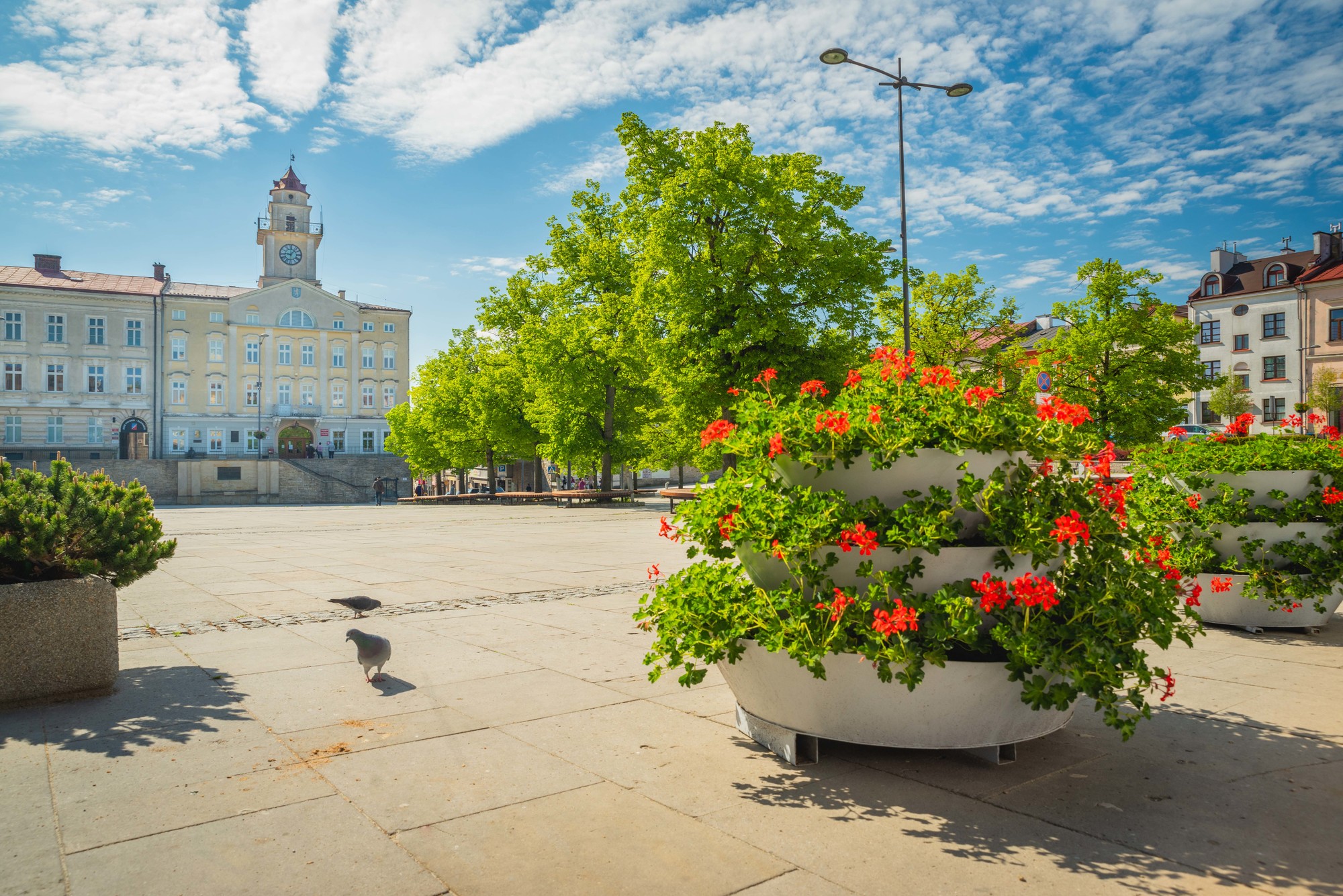 Gorlice Market Square & Town Hall | Tarnów Day Trips | Tarnow