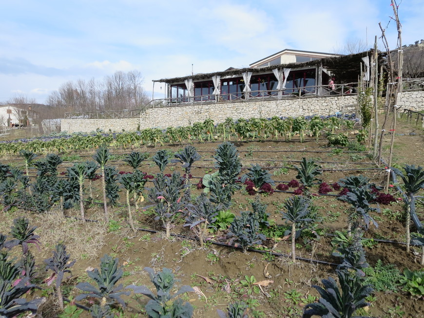 Fustanella Farm | Where to Eat | Tirana