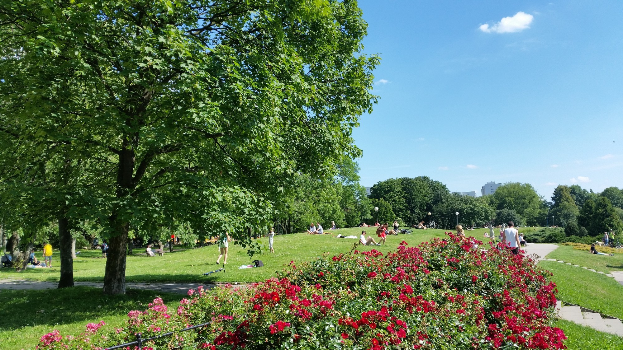 Summer in Warsaw | Top things to do in Warsaw in Summer