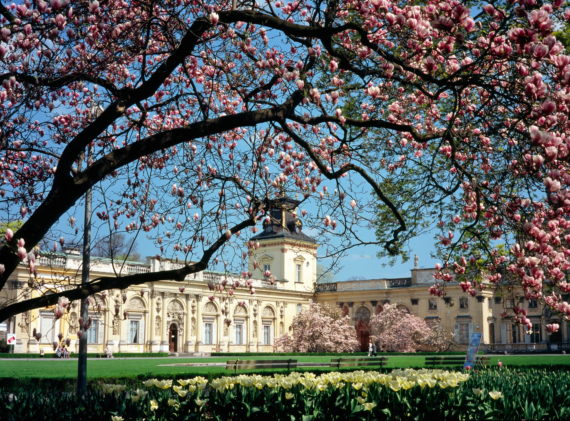 Signs of Spring | Warsaw's Best Parks, Gardens & Seasonal Markets