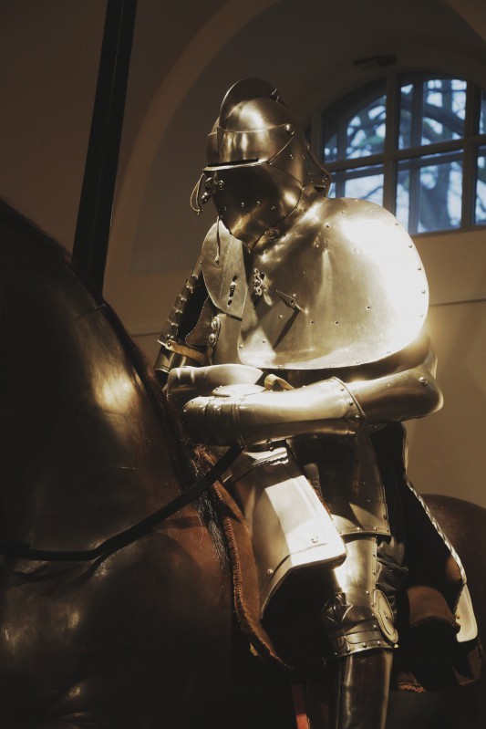 From tournament to carousel. Knight Games in Modern Europe