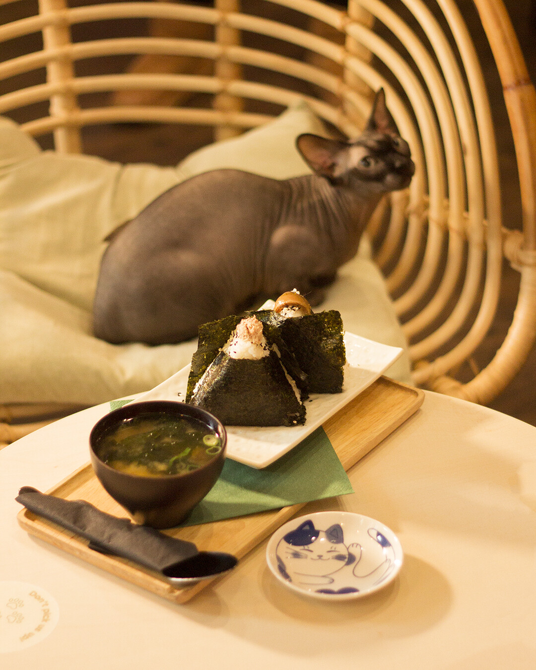 Purr Purr | Cafes | Warsaw