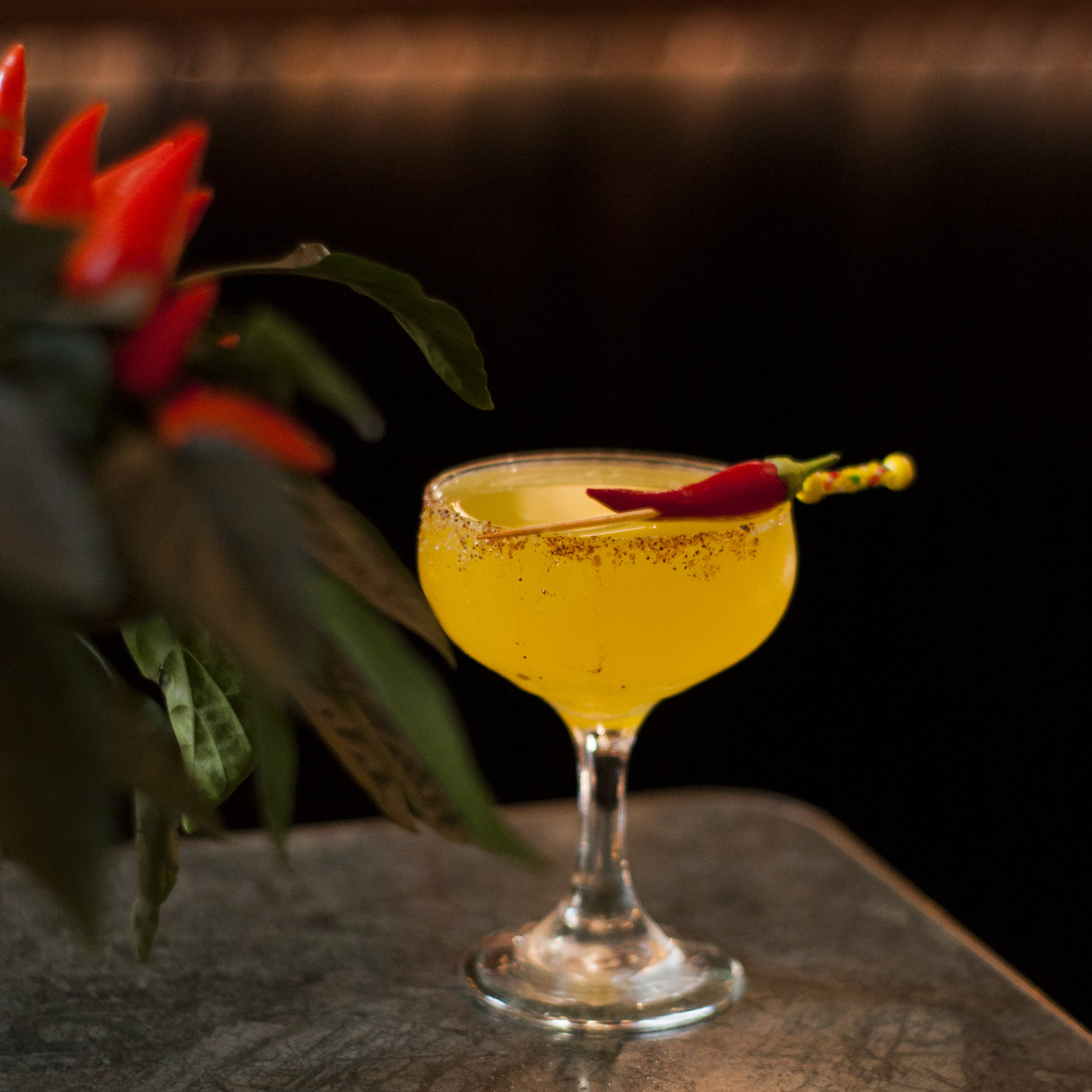 Pod Papugami Restaurant & Cocktail Bar | Bars & Clubs | Wroclaw