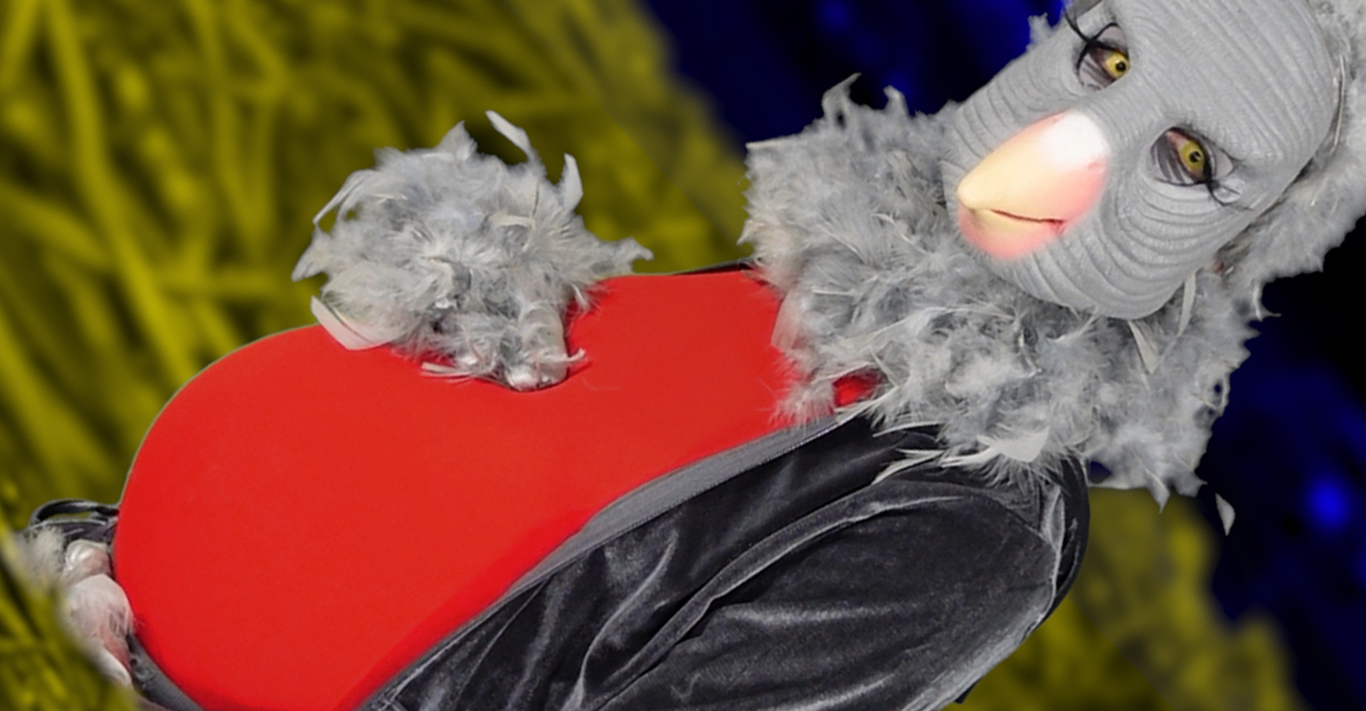 Puck Verkade's Cursed | Wroclaw