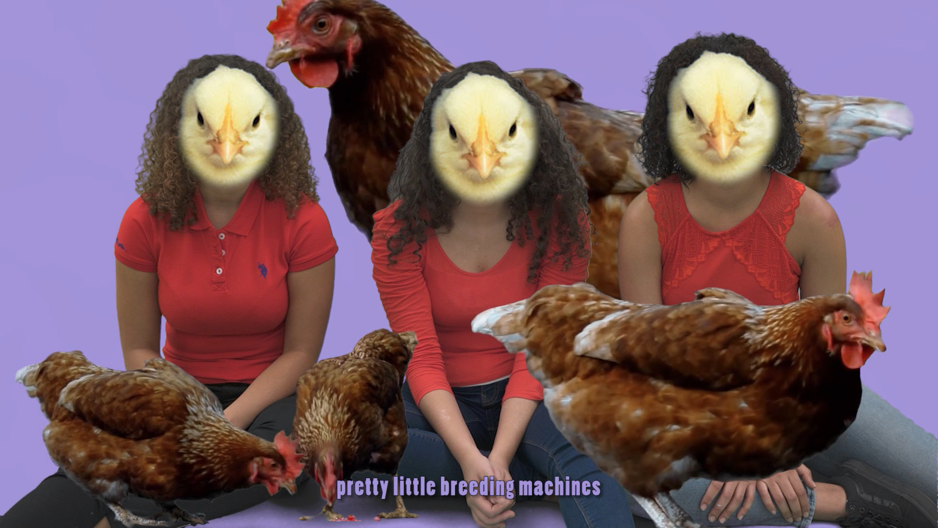 Puck Verkade's Cursed | Wroclaw