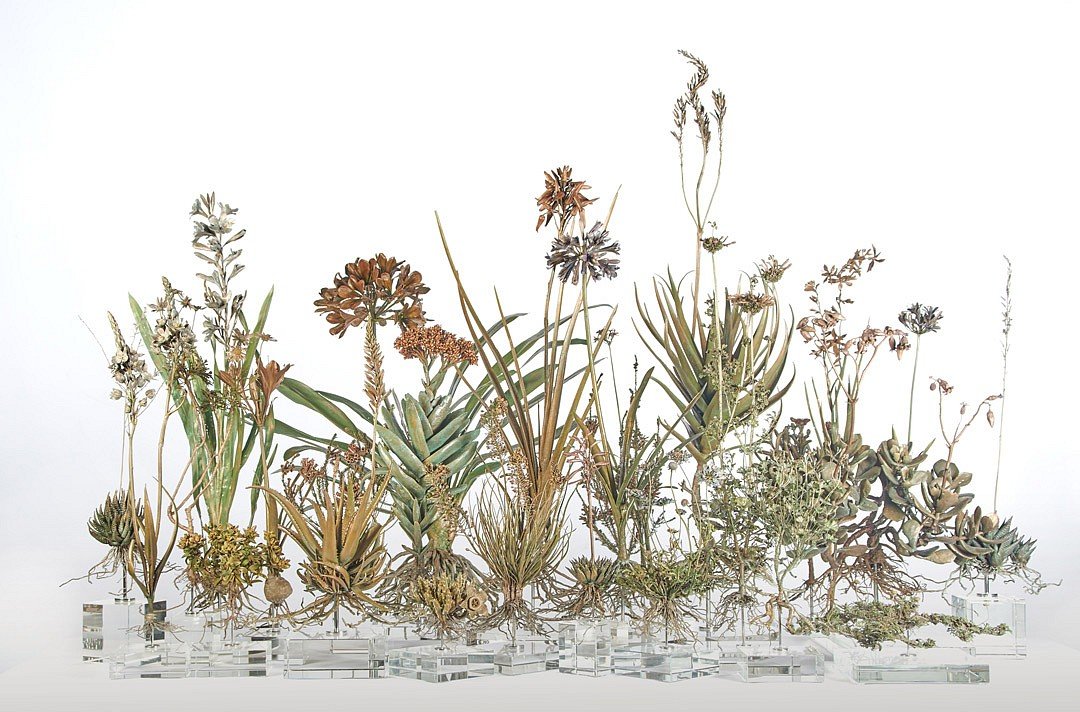 Nic Bladen's Blooming Amazing at Everard Read